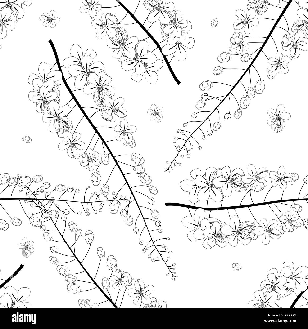 Cassia Fistula Outline - Golden Shower Flower on White Background. Vector Illustration Stock ...