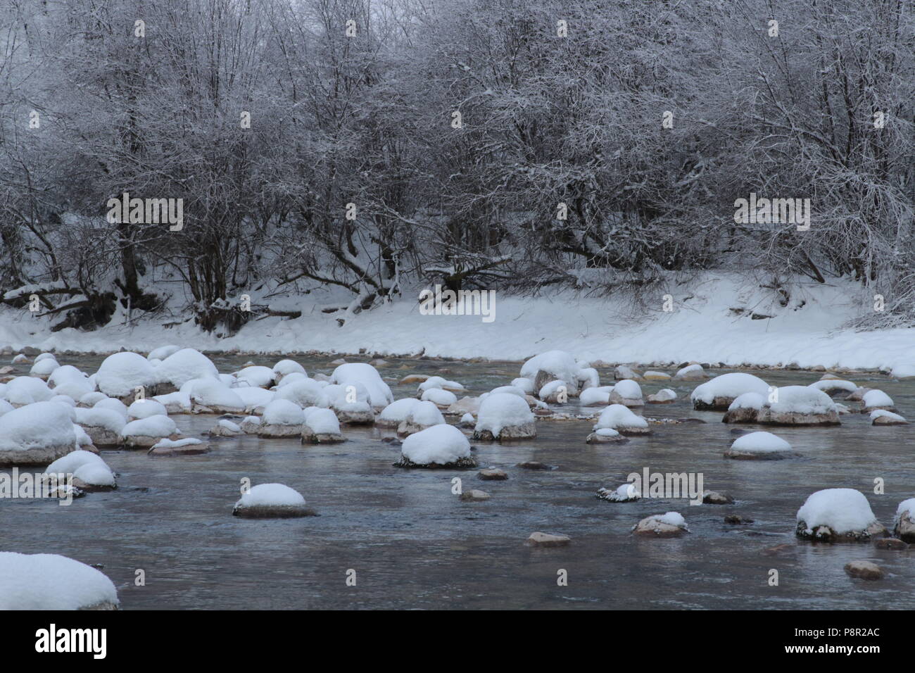 Crystal river in winter hi-res stock photography and images - Alamy