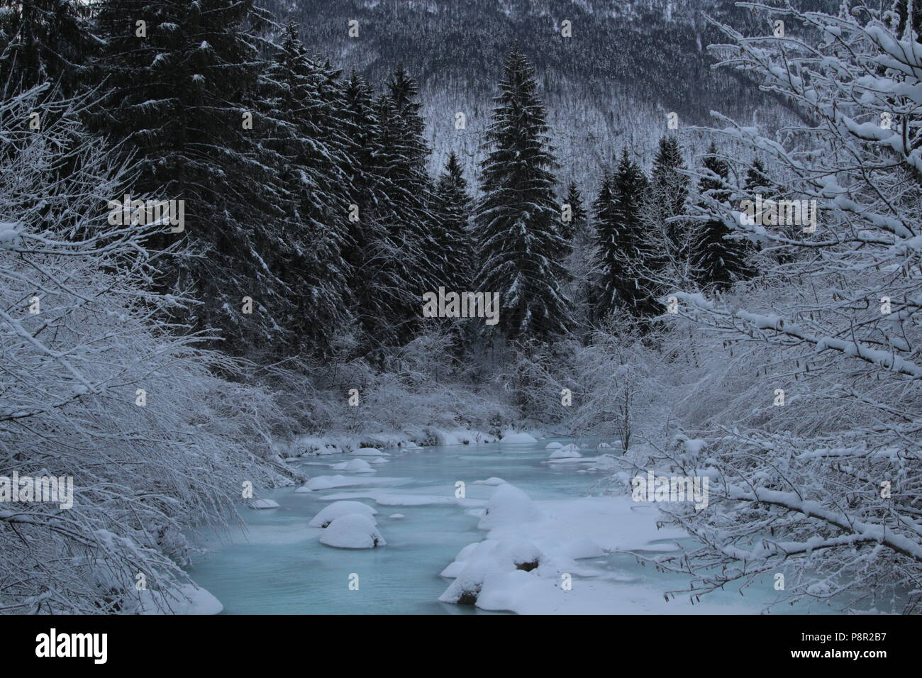 Crystal river in winter hi-res stock photography and images - Alamy