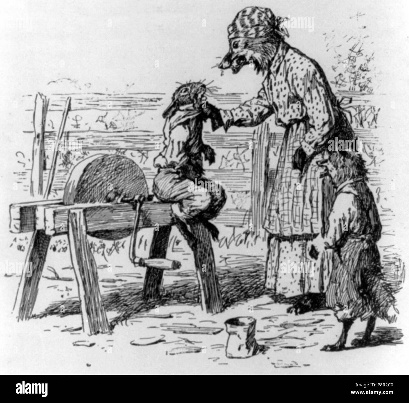 Miss fox hi-res stock photography and images - Alamy