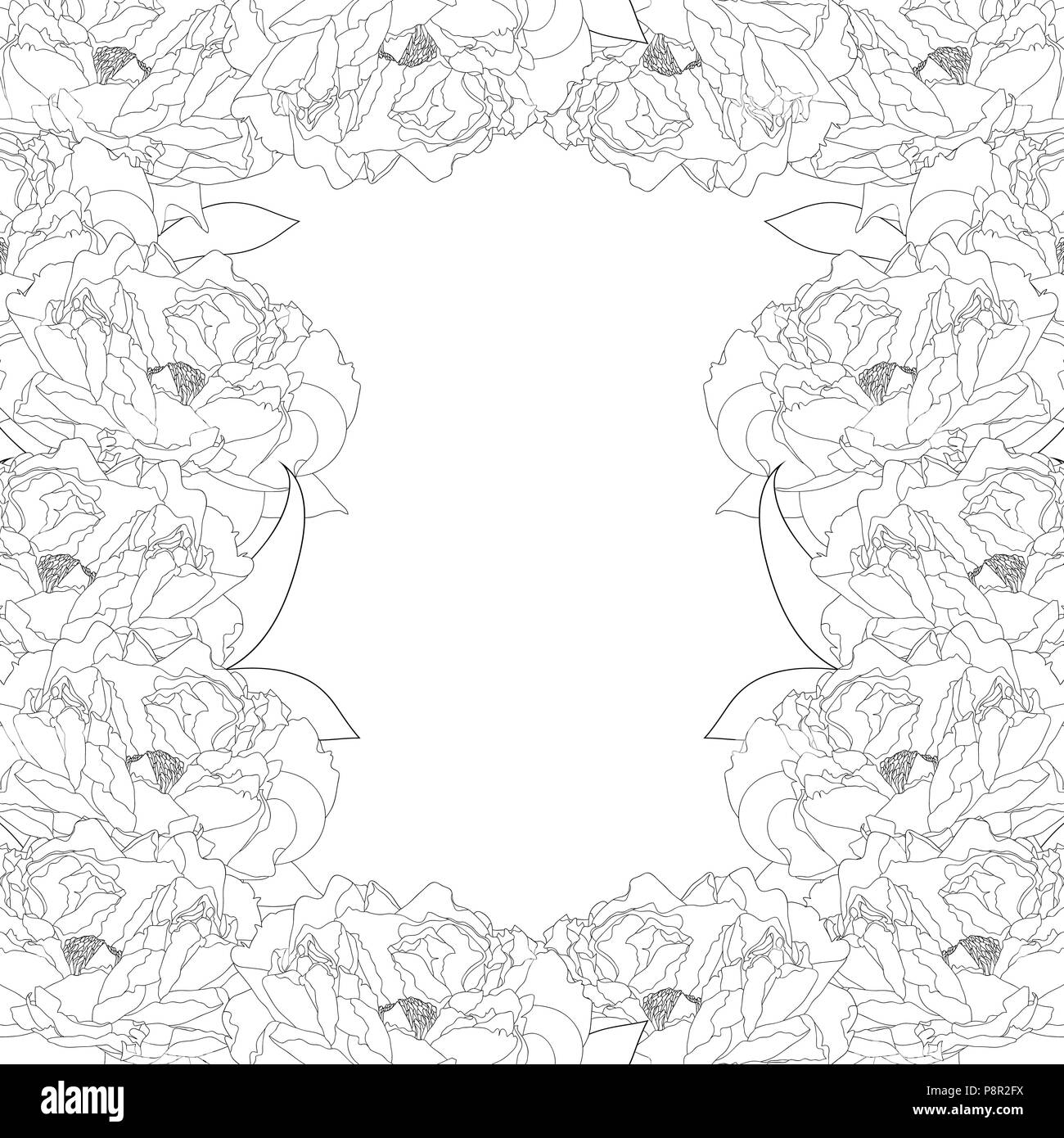 Peony Flower Outline Border isolated on White Background. Vector ...
