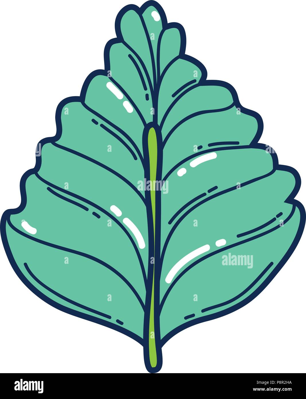 natural leaf tropital botany style vector illustration Stock Vector ...