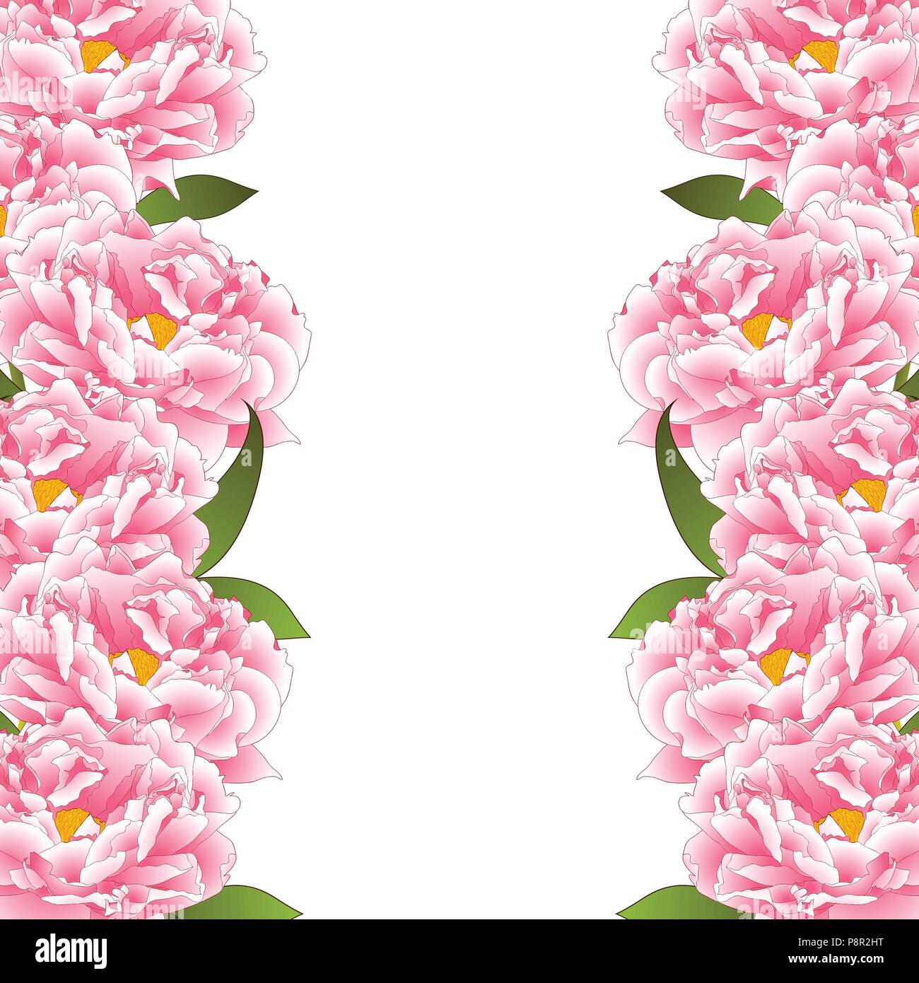 Peony Border Spring High Resolution Stock Photography and Images - Alamy