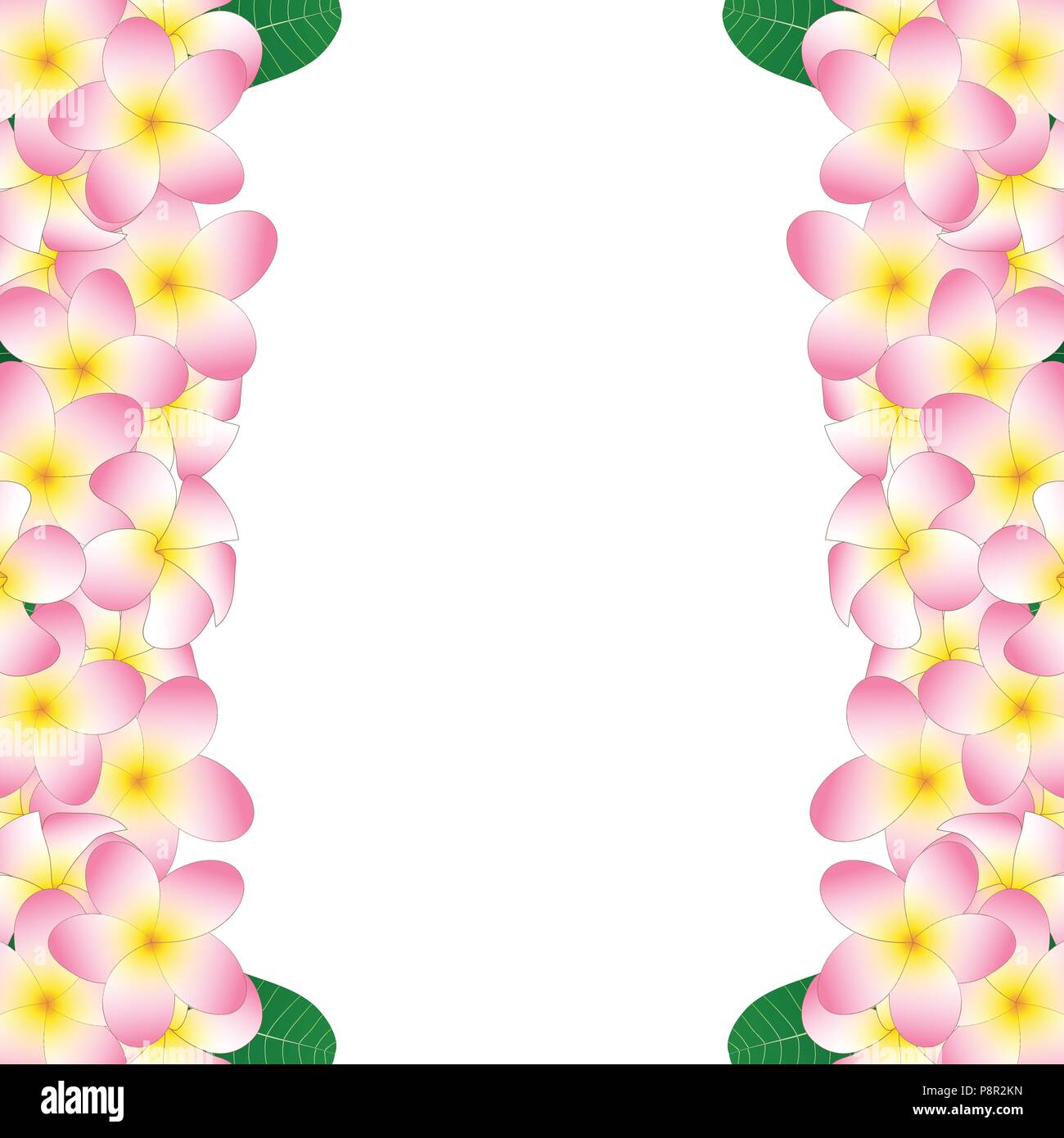 Pink Plumeria Border, Frangipani isolated on White Background. Vector ...