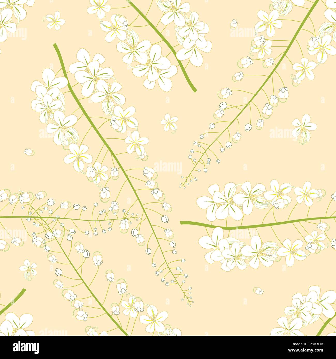 Cassia fistula blossom in Stock Vector Images - Alamy