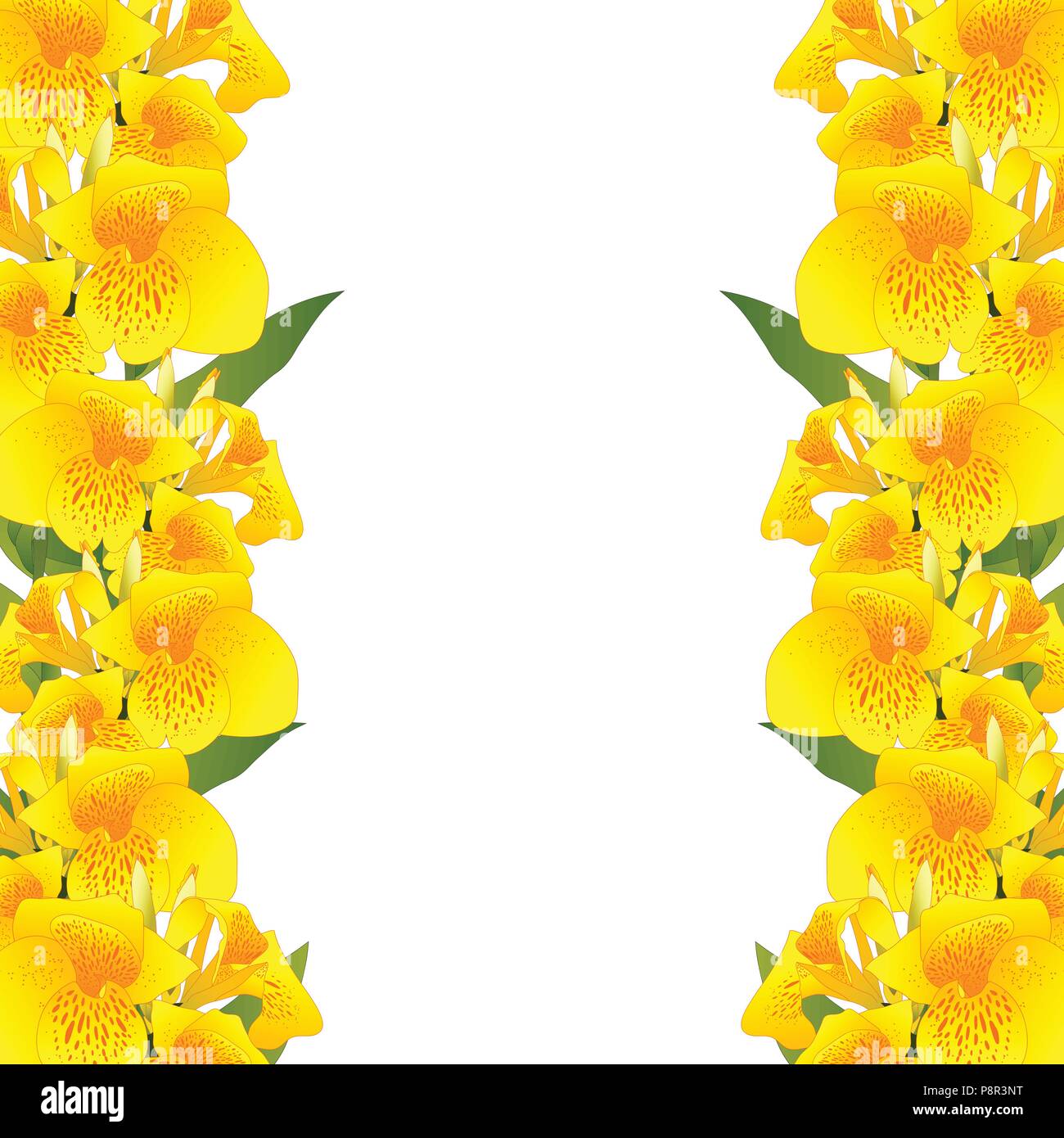 Canna indica leaf Stock Vector Images - Alamy