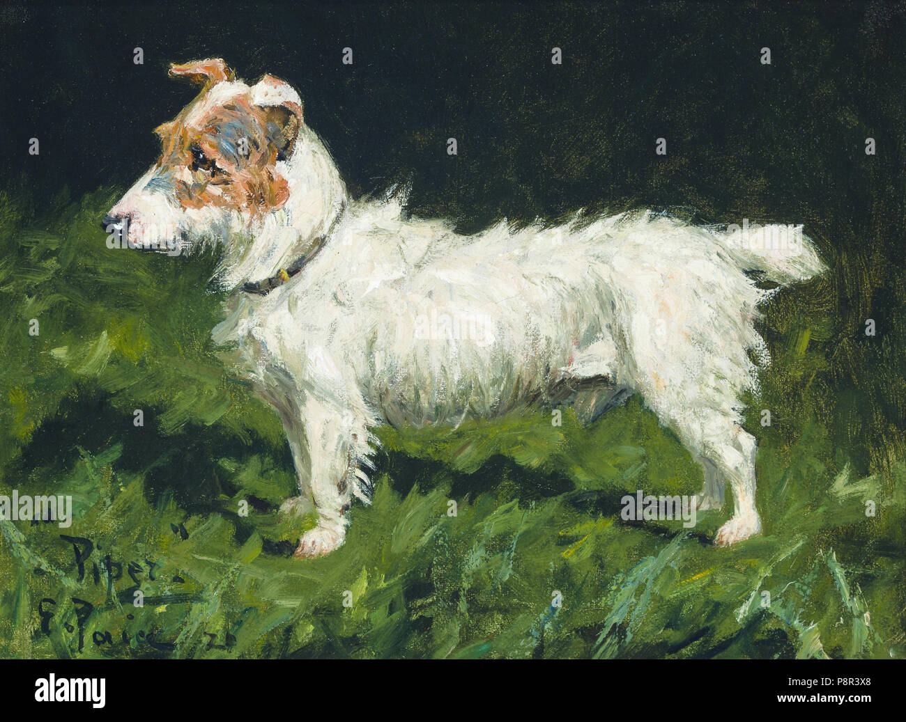 . 456 Piper, a Jack Russell Terrier, by George Paice (British, 1854 ...
