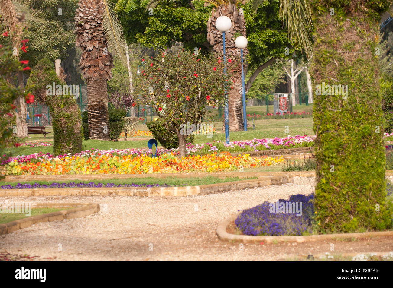 beautiful garden with flowers ang trees Stock Photo - Alamy