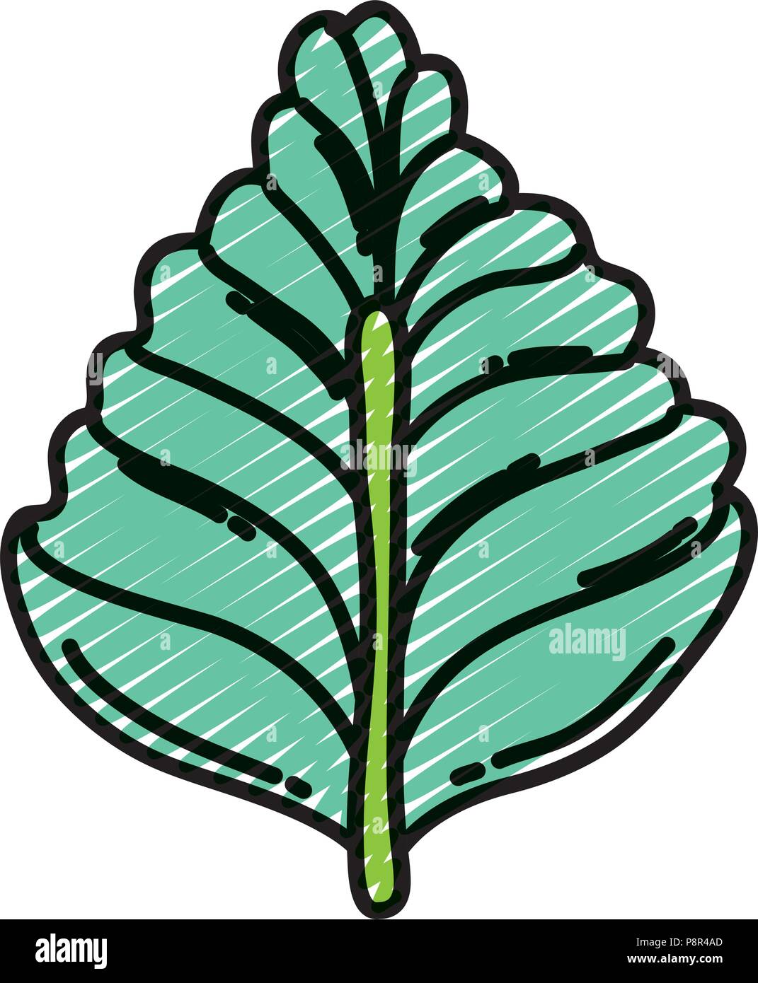 doodle natural leaf tropital botany style vector illustration Stock ...