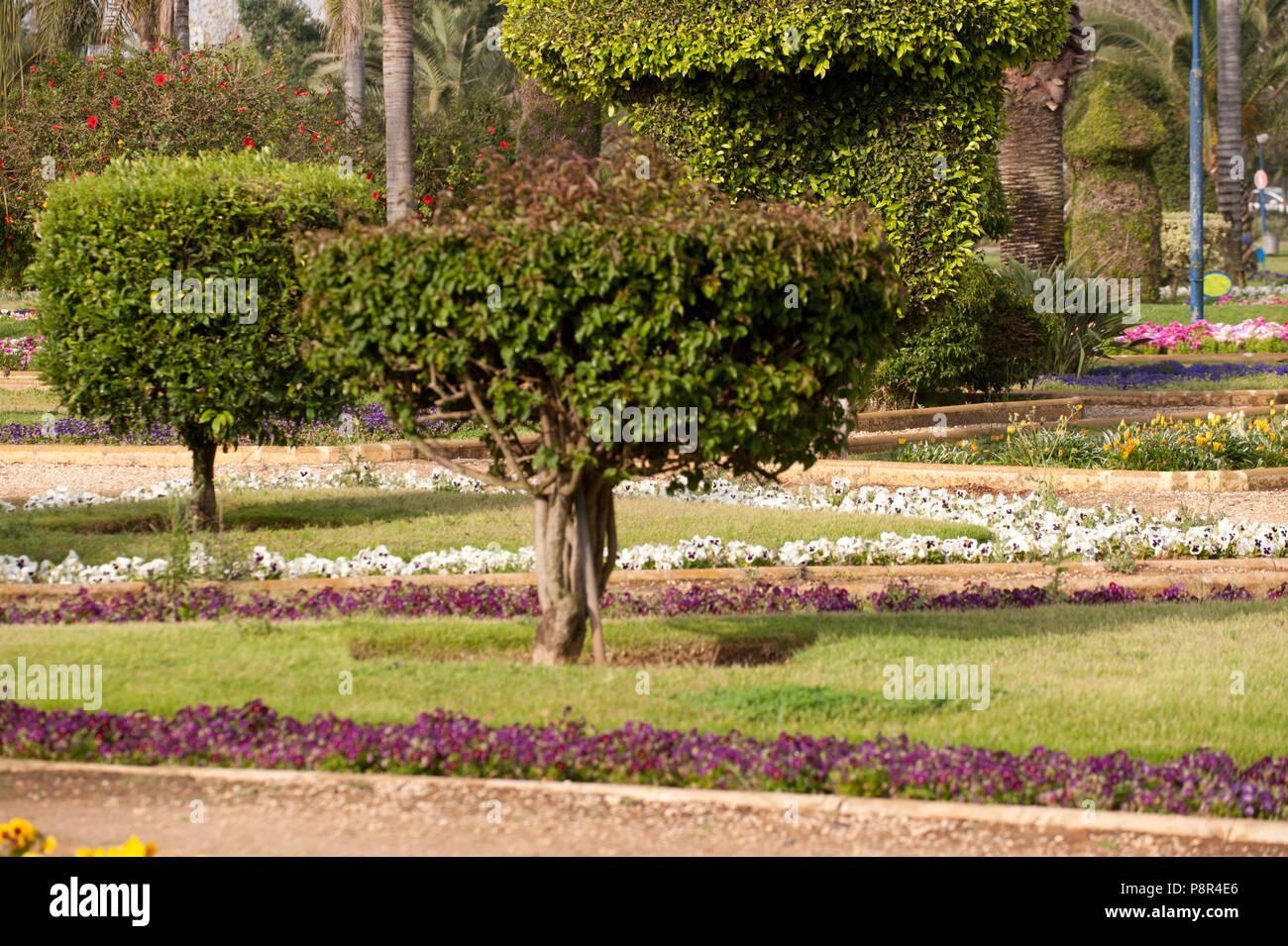 beautiful garden with flowers ang trees Stock Photo - Alamy