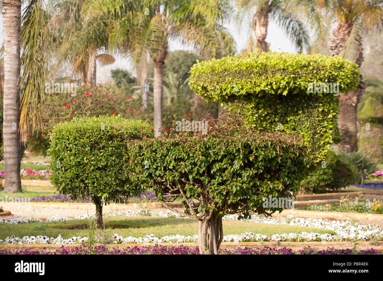 beautiful garden with flowers ang trees Stock Photo - Alamy