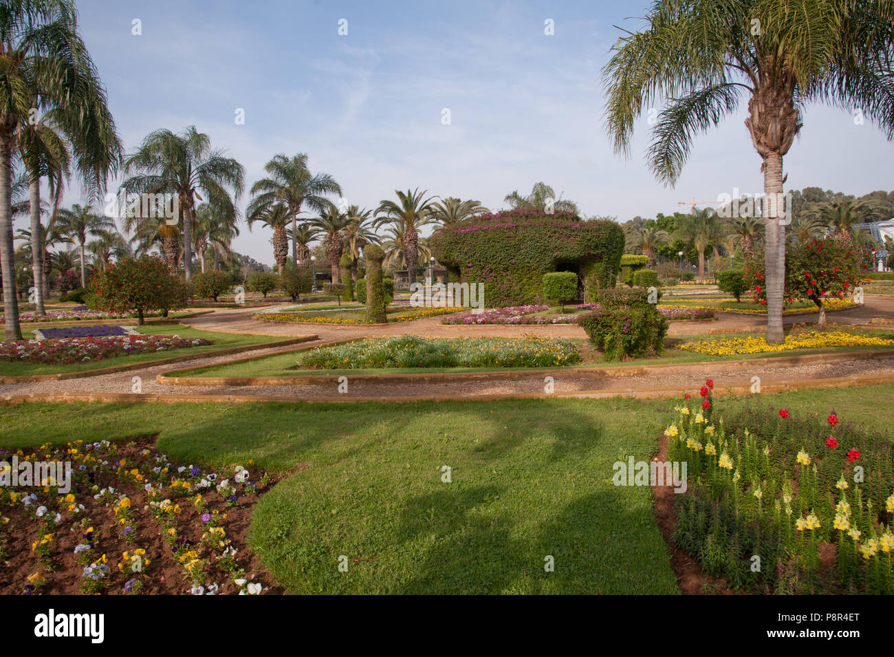beautiful garden with flowers ang trees Stock Photo - Alamy