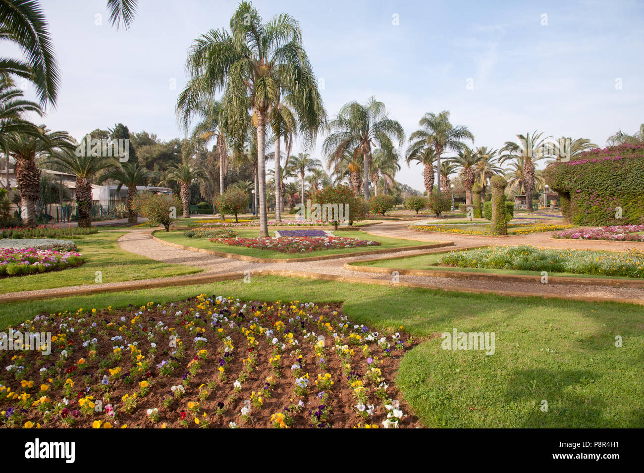 beautiful garden with flowers ang trees Stock Photo - Alamy