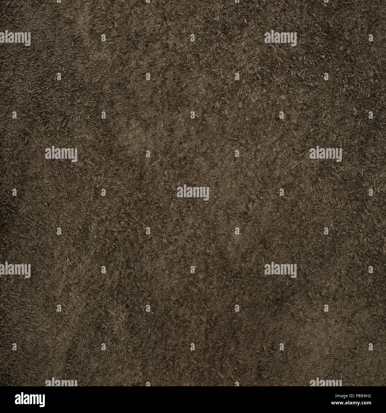 Kidskin leather hi-res stock photography and images - Alamy