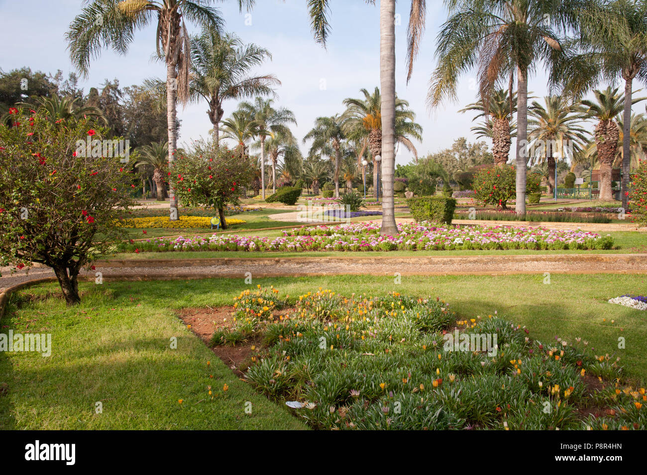 beautiful garden with flowers ang trees Stock Photo - Alamy