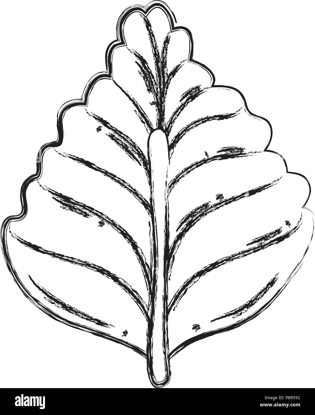 grunge natural leaf tropital botany style vector illustration Stock ...