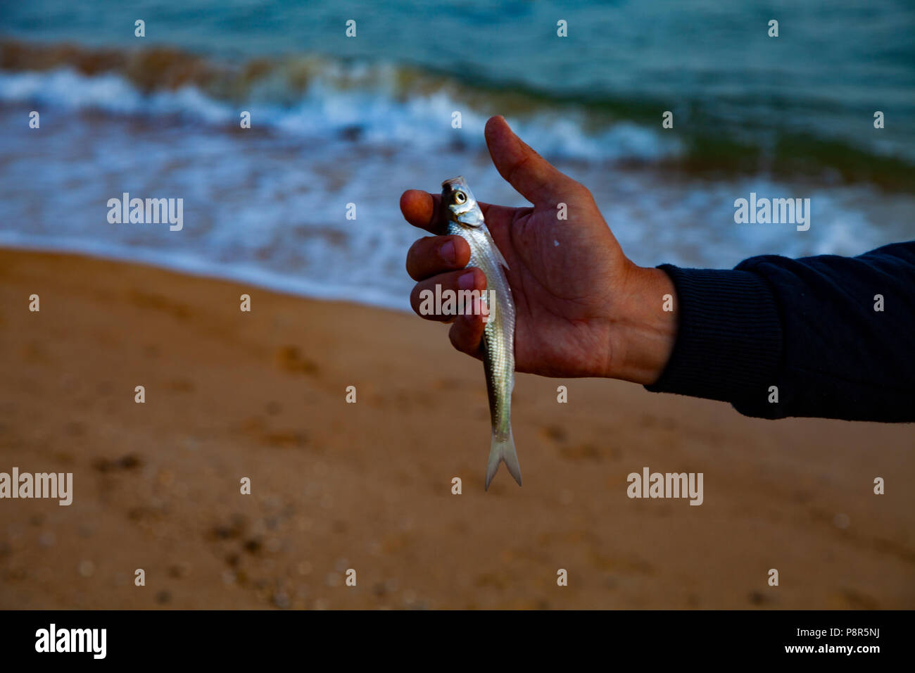 Fishermans hands hi-res stock photography and images - Alamy