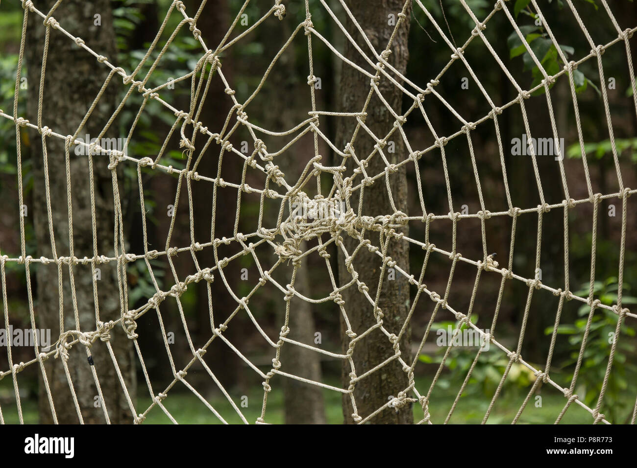 Cobweb swing hi-res stock photography and images - Alamy