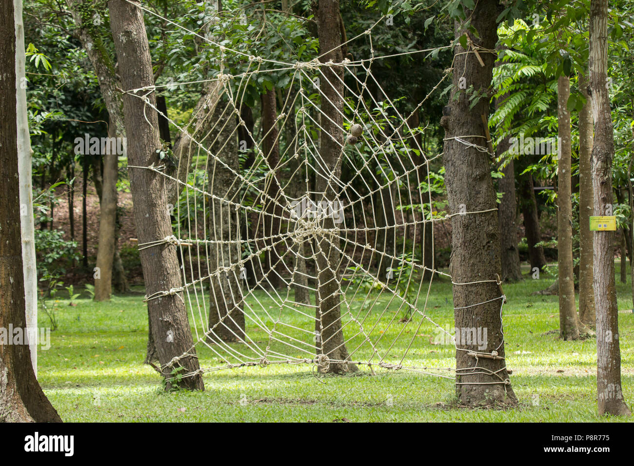 Cobweb swing hi-res stock photography and images - Alamy