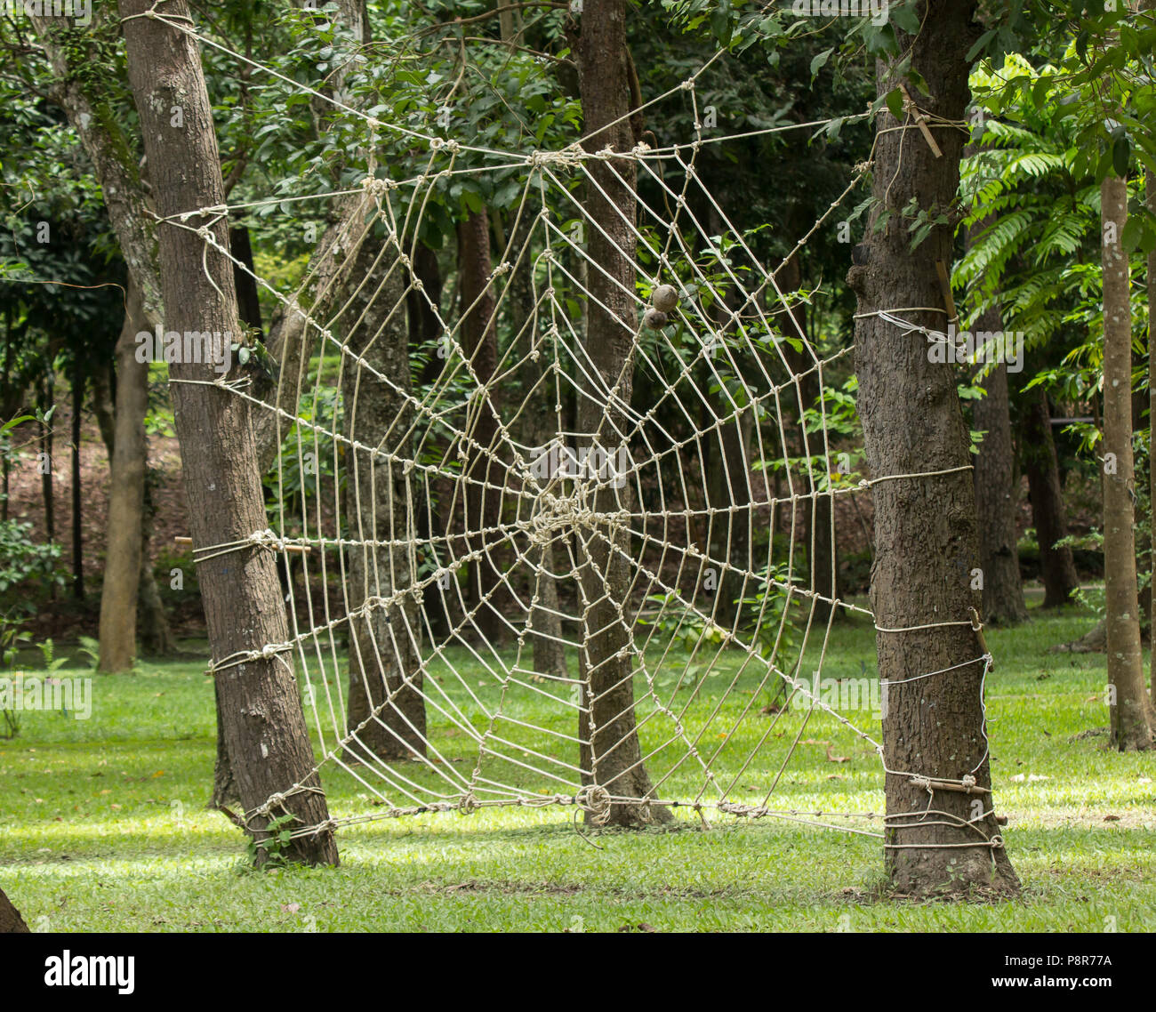 Cobweb swing hi-res stock photography and images - Alamy