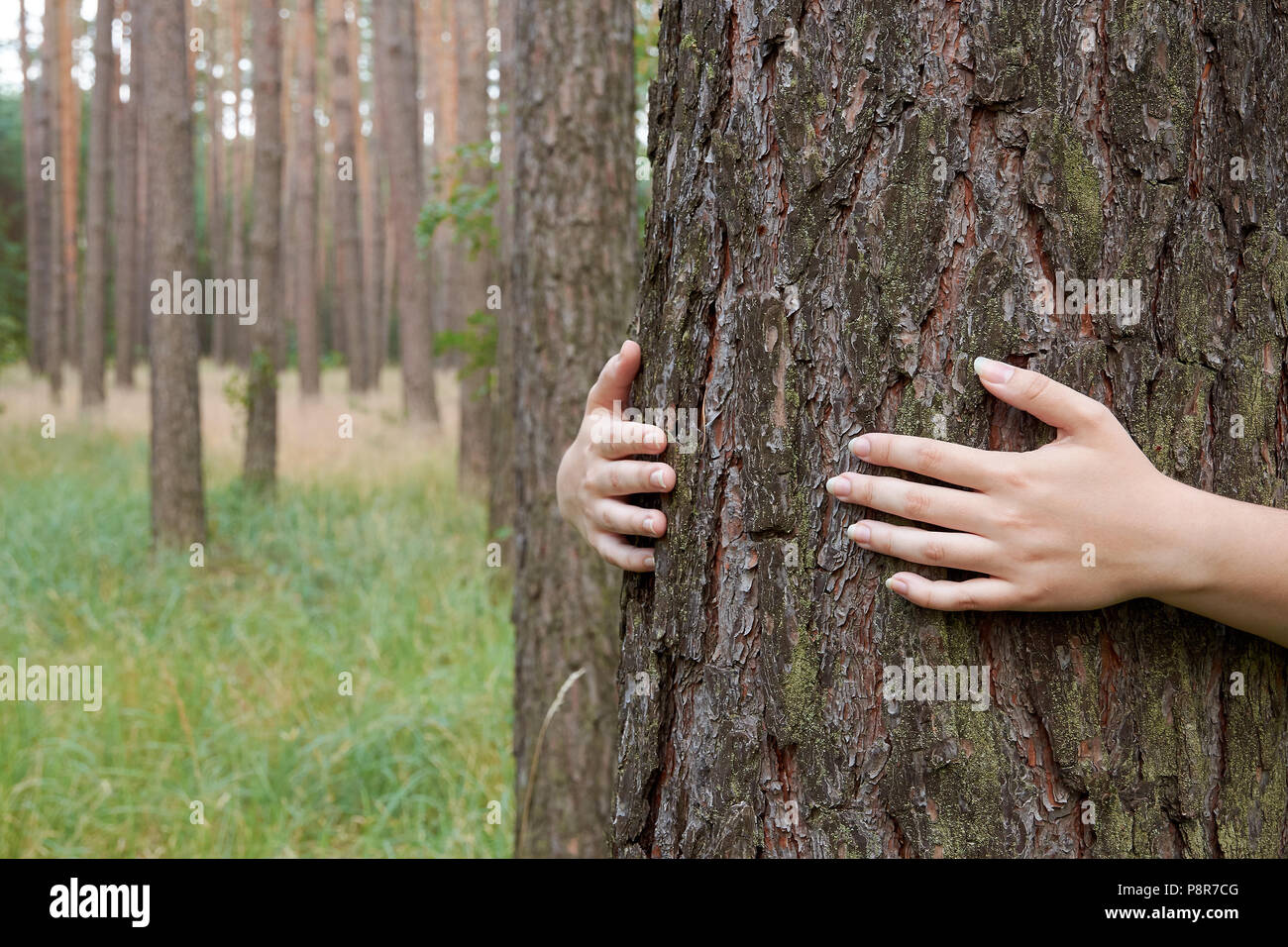 Environmentalist hugging tree hi-res stock photography and images - Alamy