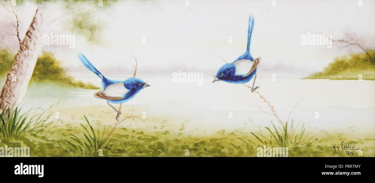 Winged fairy hi-res stock photography and images - Alamy