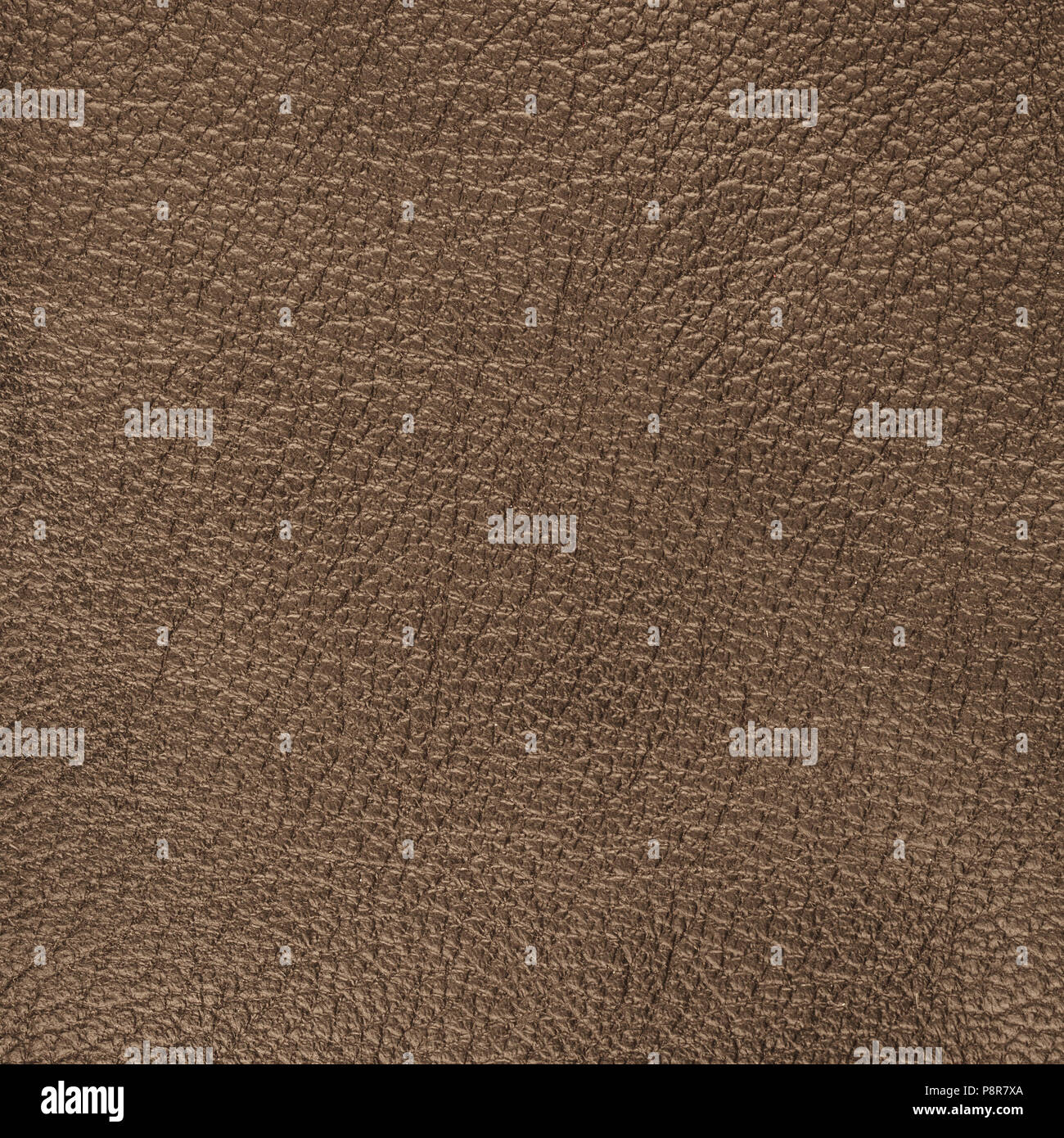 Leather texture. Close up, top view Stock Photo - Alamy