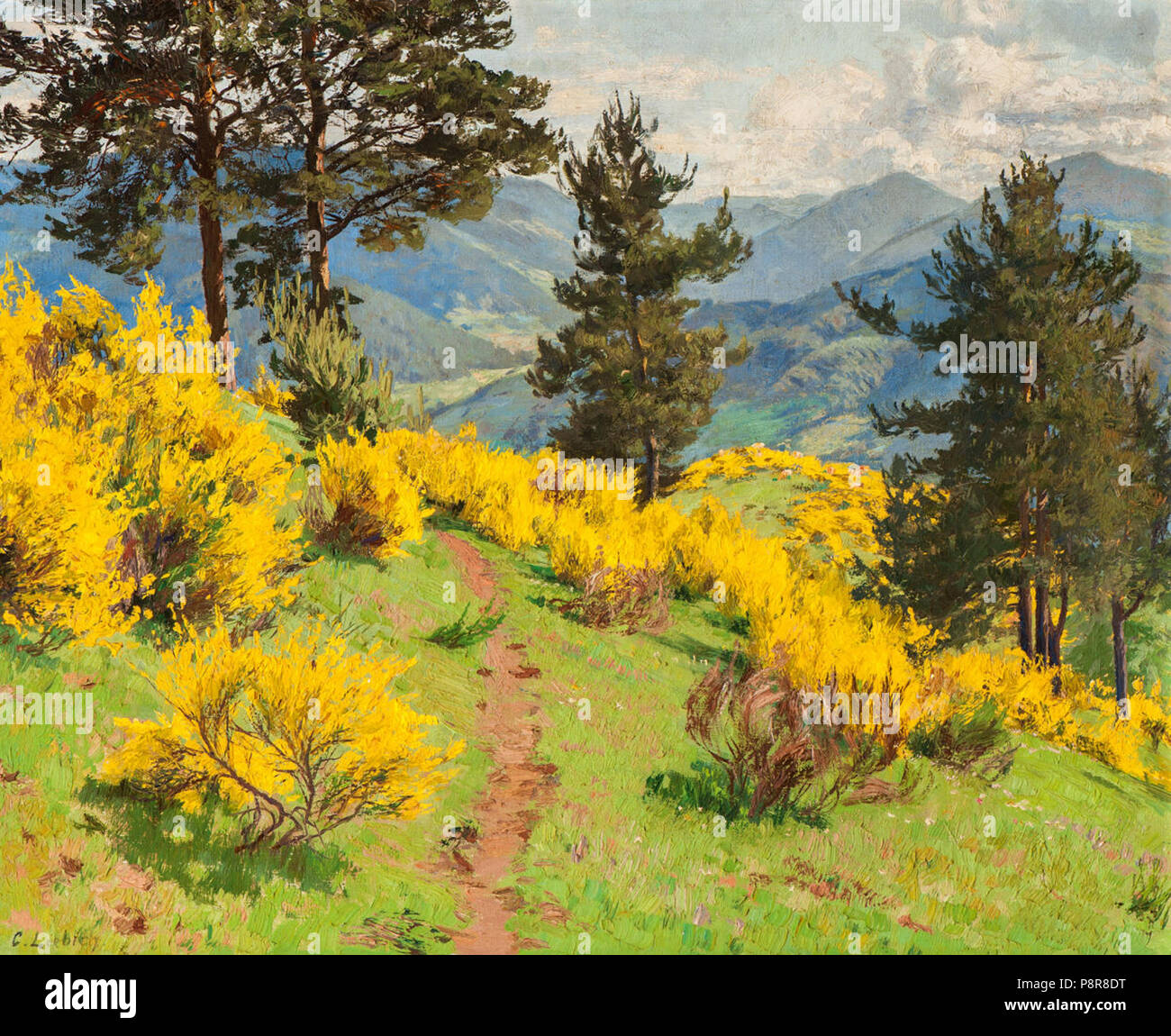 86 Curt Liebich Blühender Ginster 1919 Stock Photo - Alamy