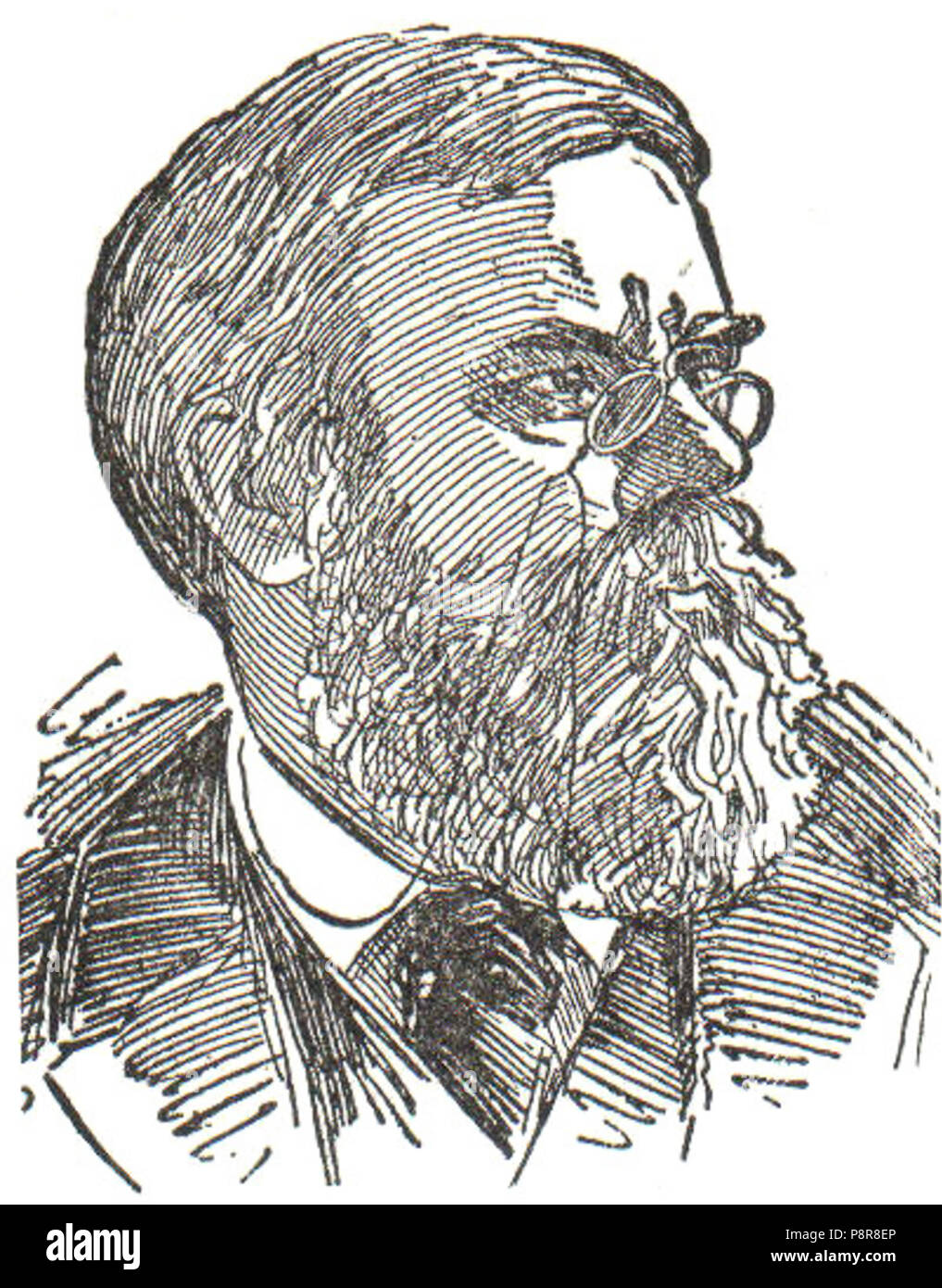 American library Cut Out Stock Images & Pictures - Alamy