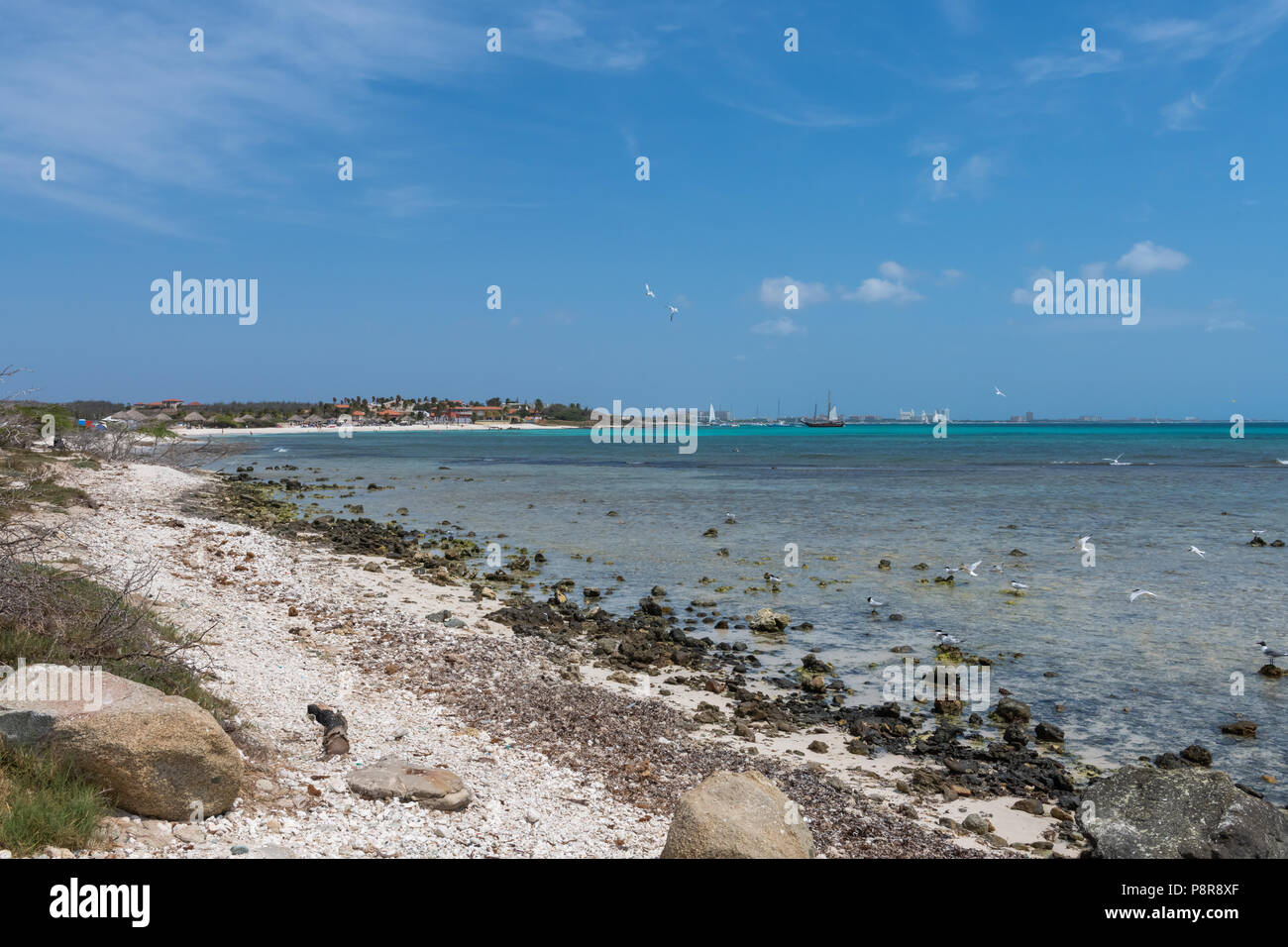 Aruba -view of northern beaches- Arashi- and high rise hotels Stock ...