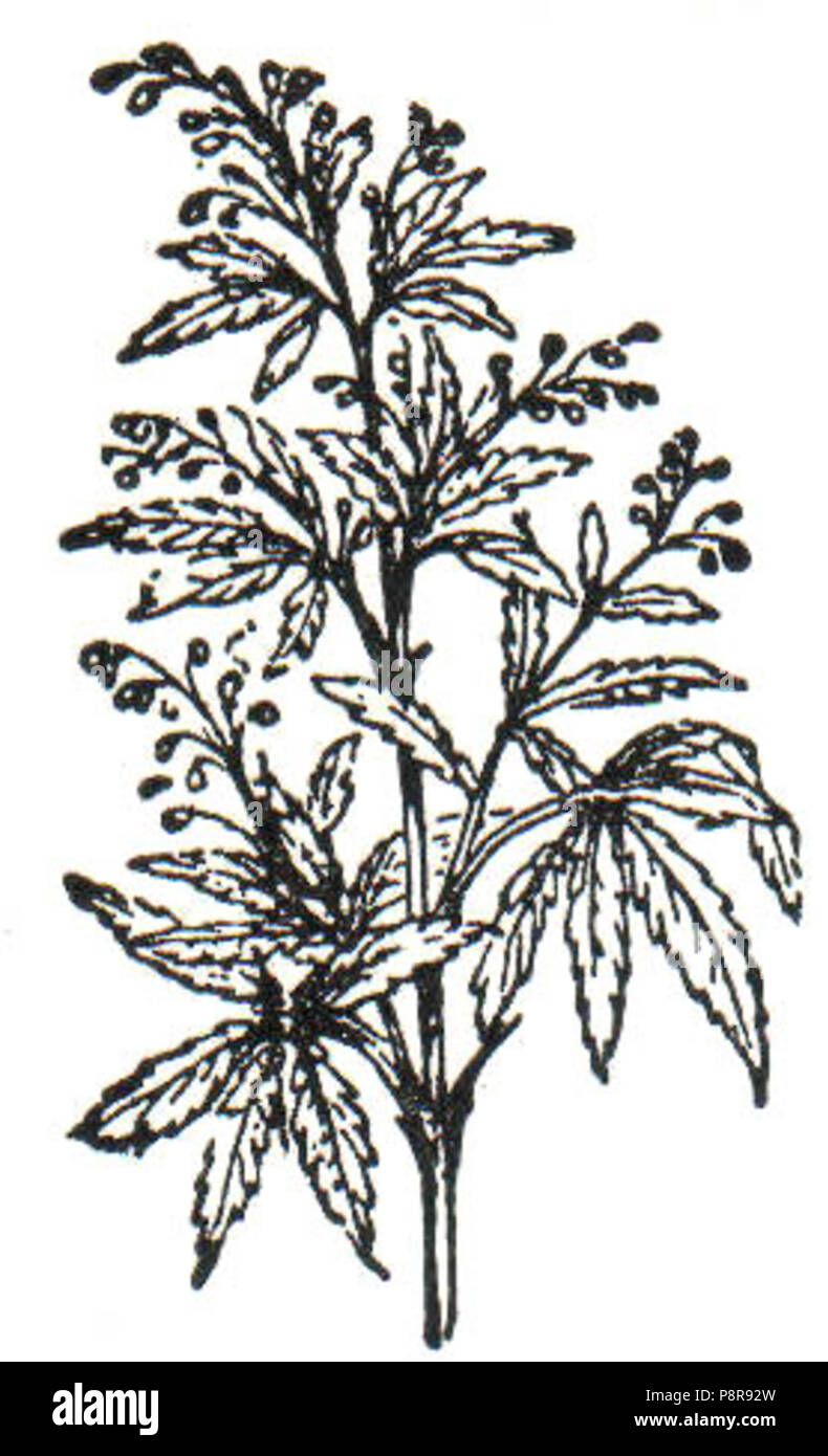 Nsrw hi-res stock photography and images - Alamy