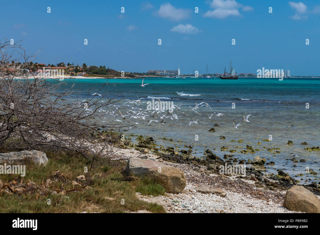 Aruba -view of northern beaches- Arashi- and high rise hotels Stock ...