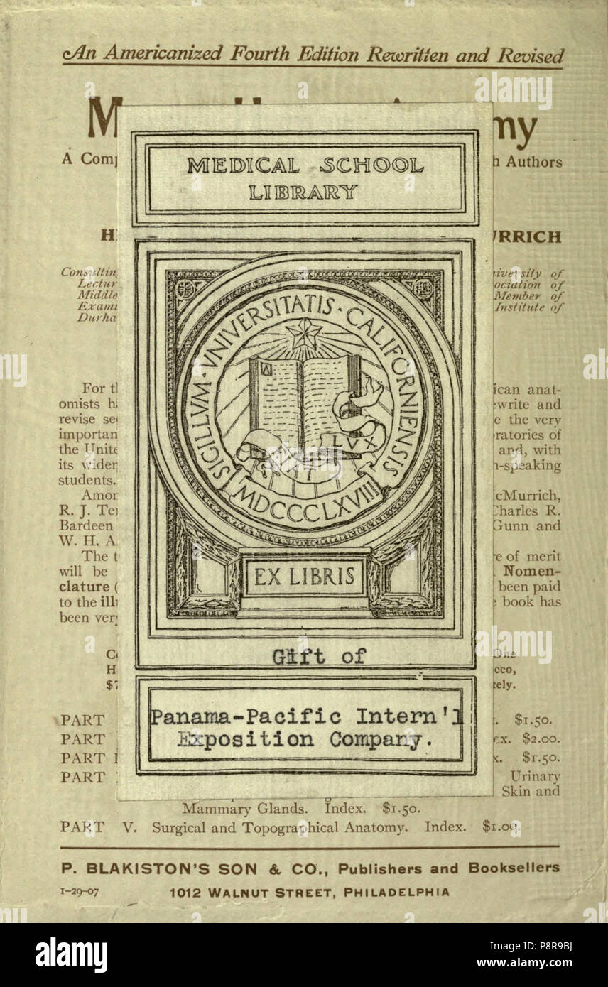 Chestnut horse anatomy hi-res stock photography and images - Alamy