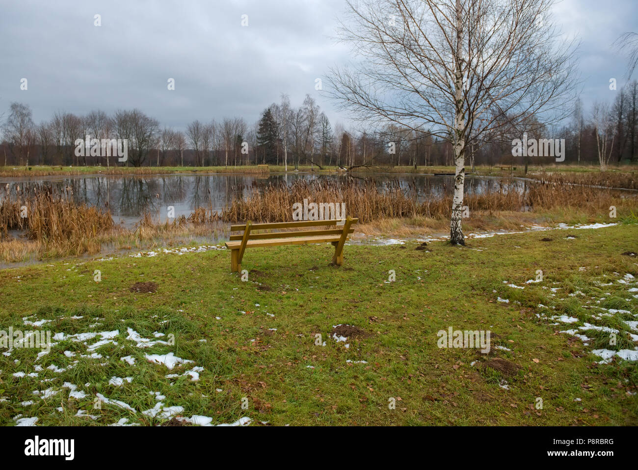 Bench to rest at a pond in late autumn Stock Photo - Alamy