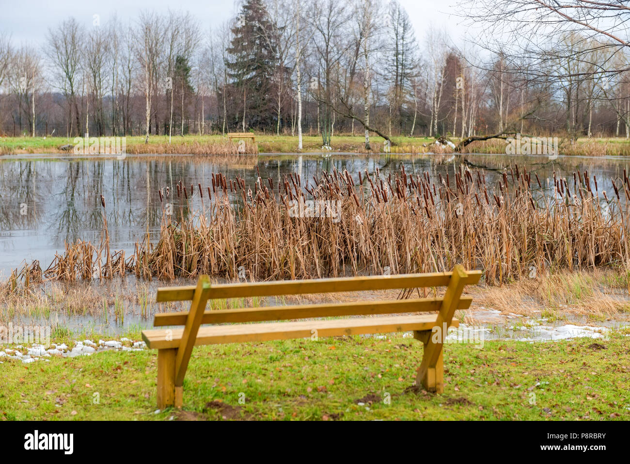Bench quiet pond hi-res stock photography and images - Alamy
