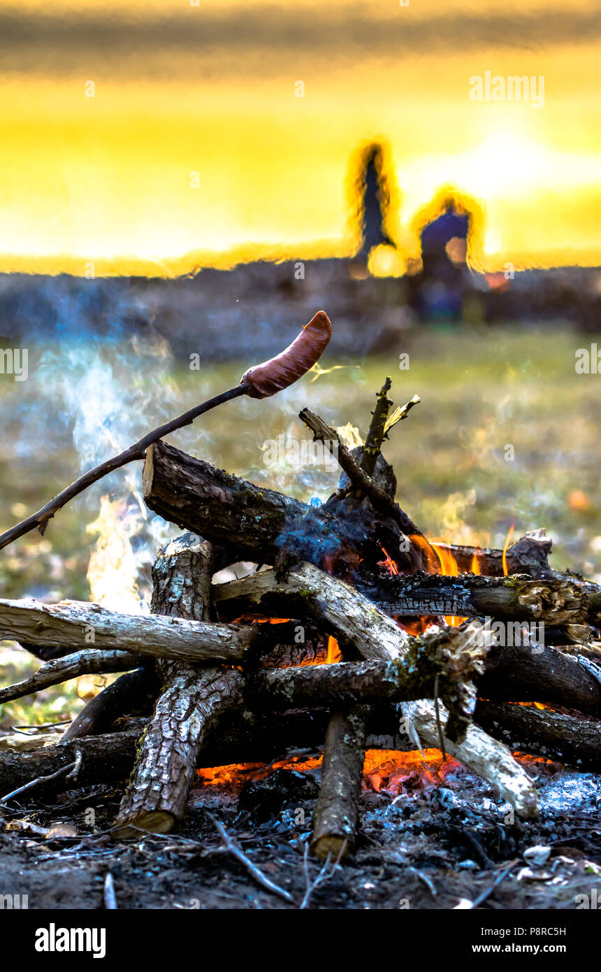 Camping family forest bbq hi-res stock photography and images - Alamy