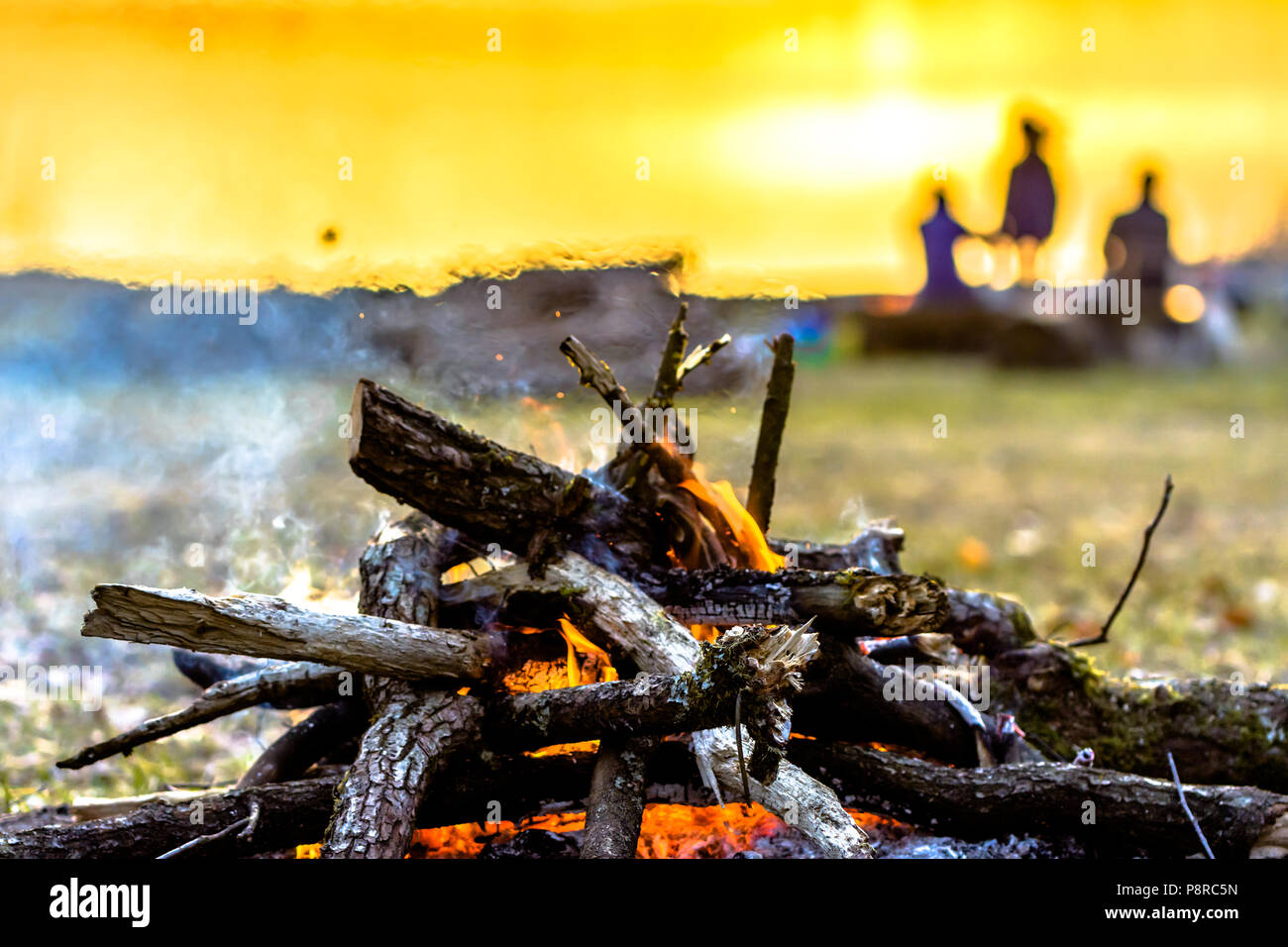 Group of friends on camp with campfire, camping in nature Stock Photo ...