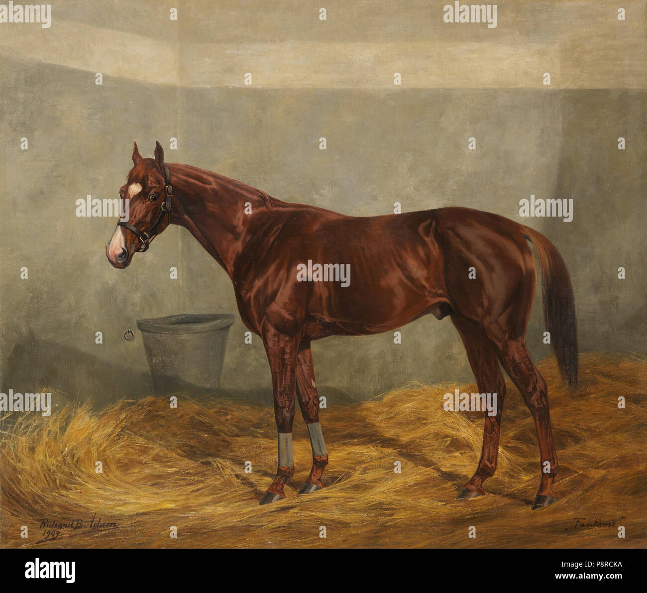 Benno adam hi-res stock photography and images - Alamy