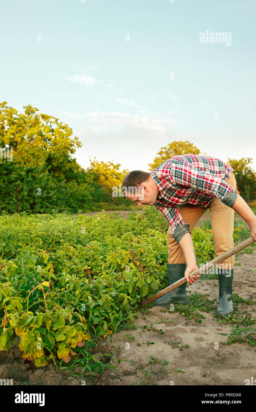 farming, gardening, agriculture and people concept Stock Photo - Alamy