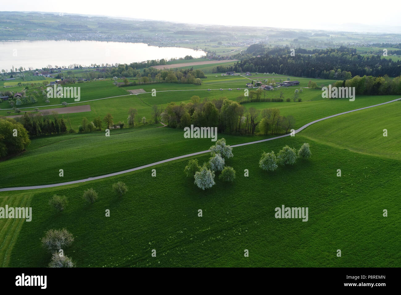 Central Switzerland in spring with Lake Sempach near Lucerne in the ...