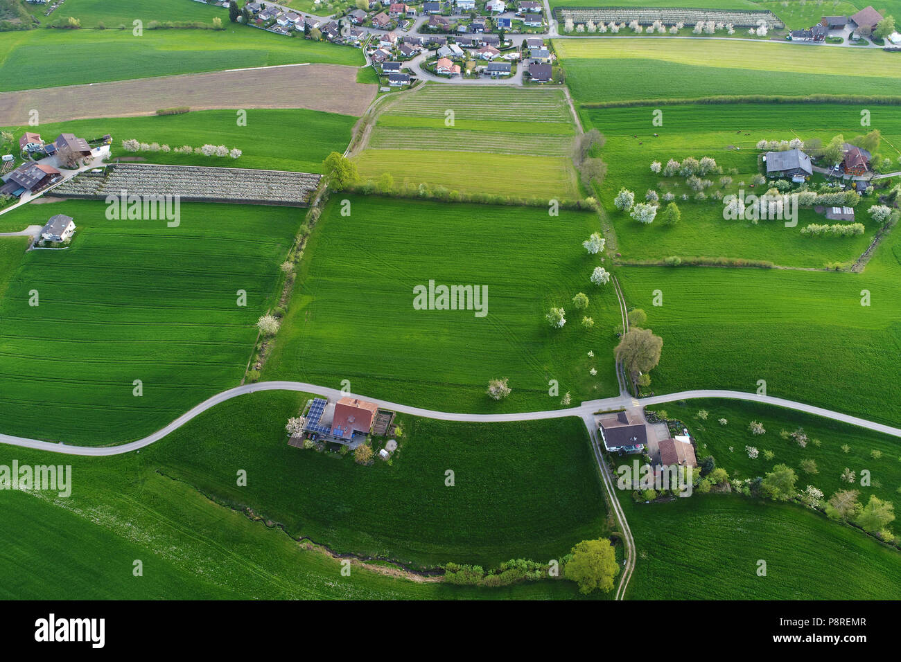 Bright green fields with farms from a bird's eye view on a beautiful ...