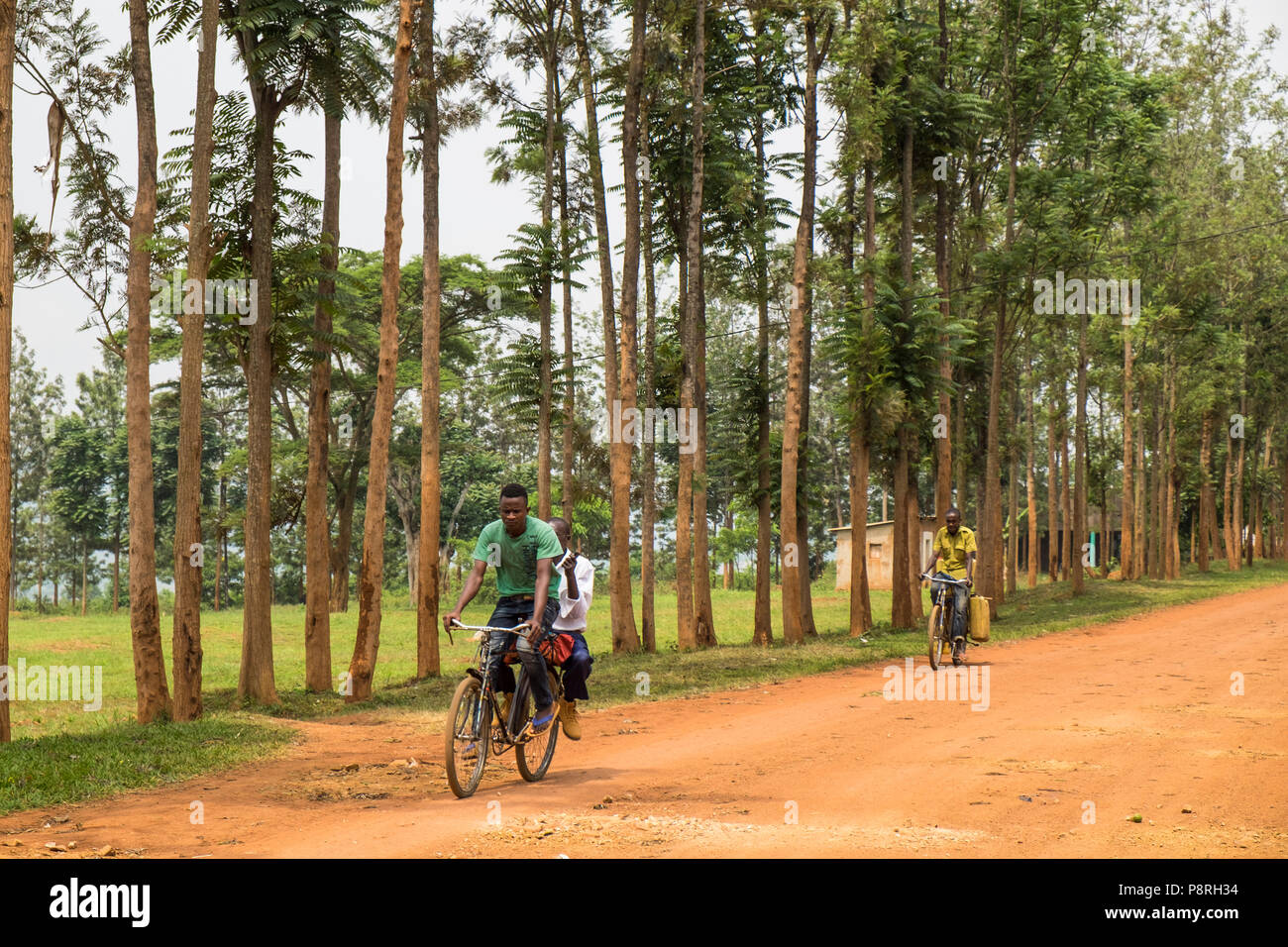 Human life cycles hi-res stock photography and images - Alamy