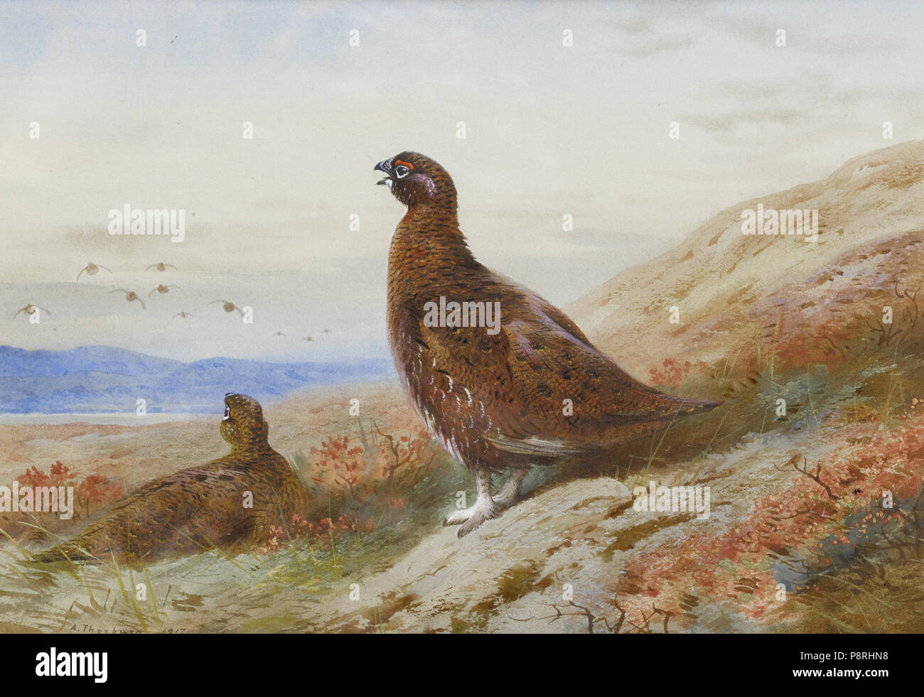 Archibald thorburn hi-res stock photography and images - Alamy