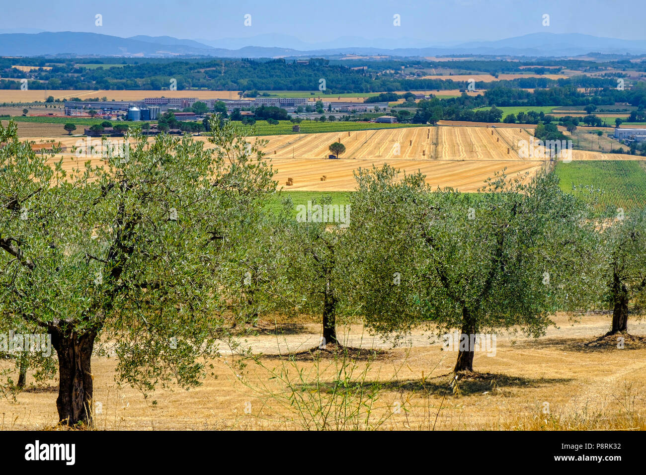 Summer landscape near San Martino dei Colli, Perugia, Umbria, Italy ...
