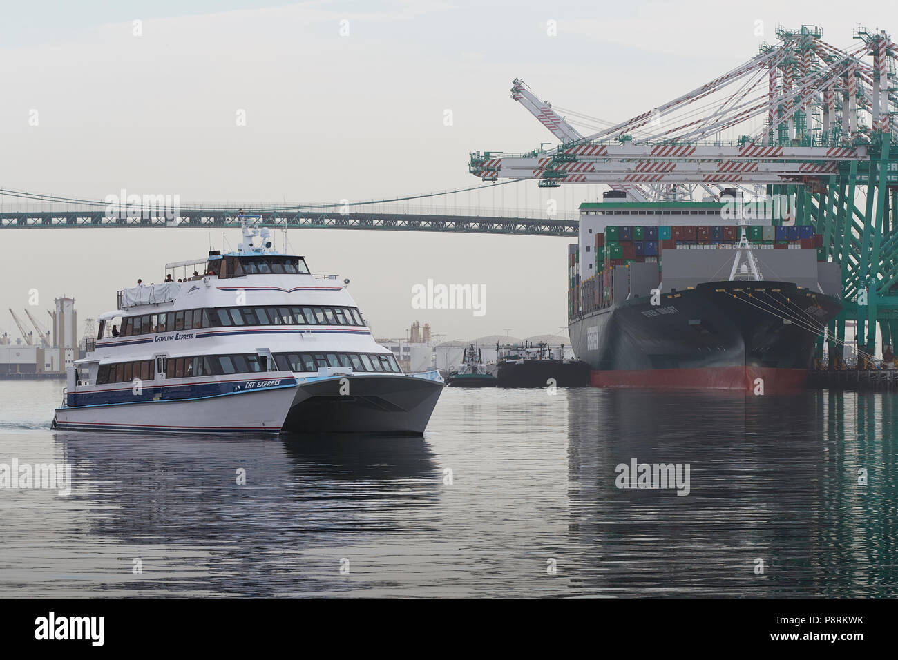 Fast Cat Ferry Stock Photos & Fast Cat Ferry Stock Images - Alamy