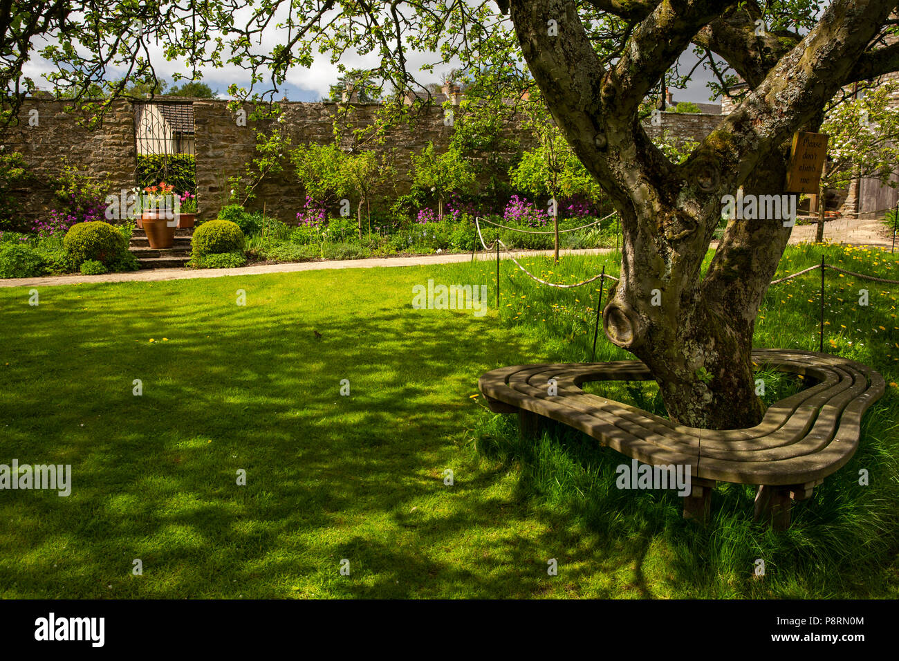 Community orchard yorkshire hi-res stock photography and images - Alamy
