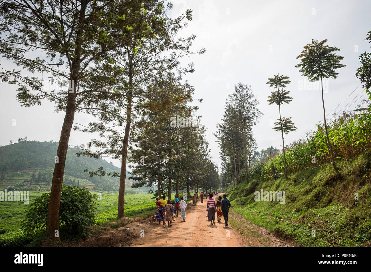 Rwanda,surroundig of Byumba,daily life Stock Photo - Alamy