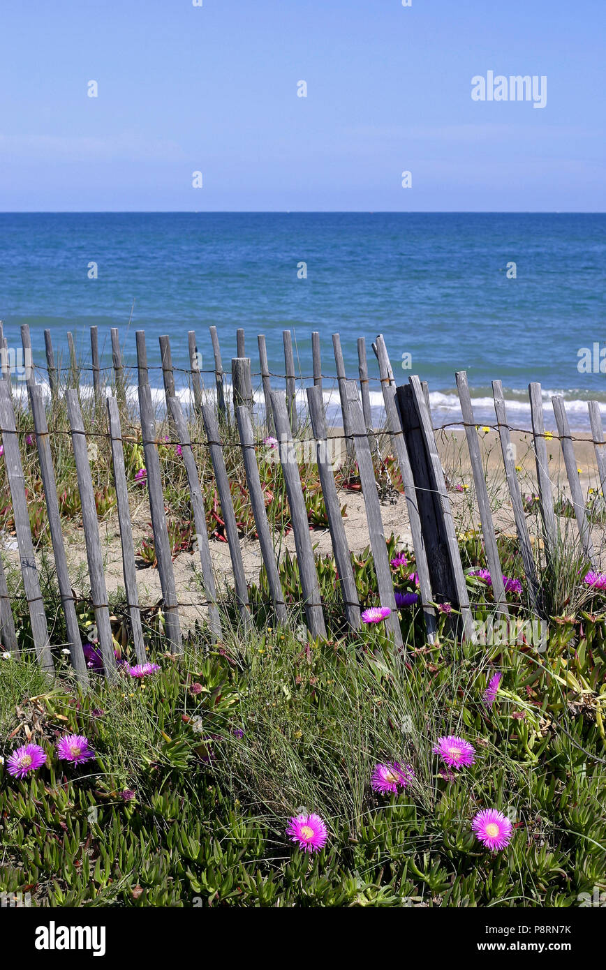Sete beach hi-res stock photography and images - Alamy