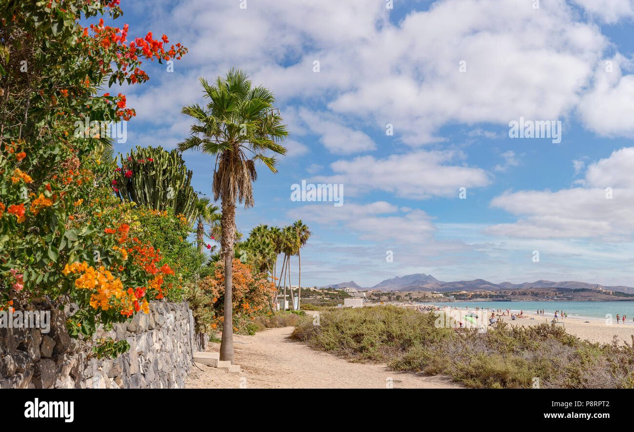 Playa de Costa Calma, Costa Calma, Spain Stock Photo - Alamy