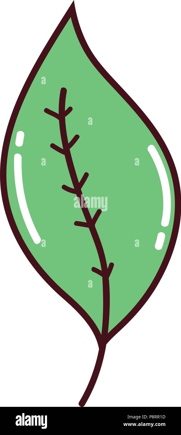 cute botany leaf nature style vector illustration Stock Vector Image ...